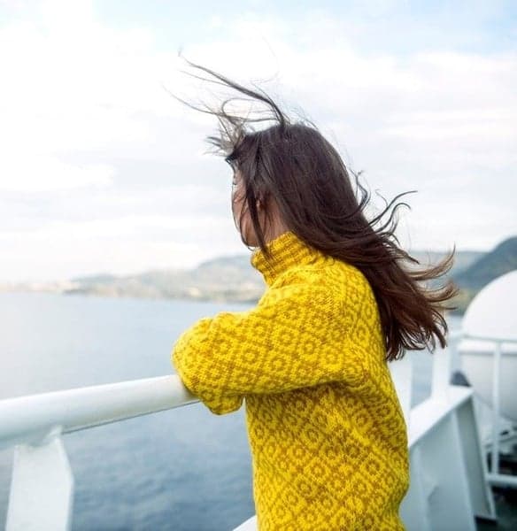 Kjøp Svalbard Sweater High Neck Cyber/Arrowwood - https://www.widforss.no